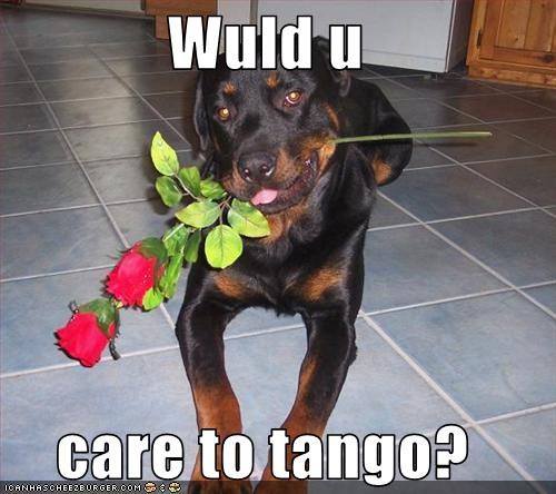 Argentine Tango Memes