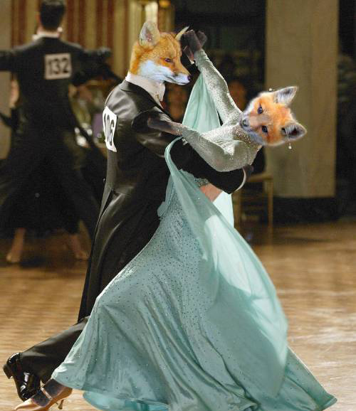 Dance Humor | ATOMIC Ballroom | Irvine, CA in Orange County (OC)